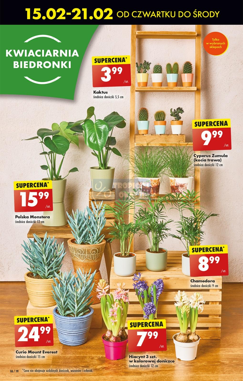 Gazetka promocyjna i reklamowa Biedronka, "W tym tygodniu -lada", od 15/02/2024 do 21/02/2024, s.18