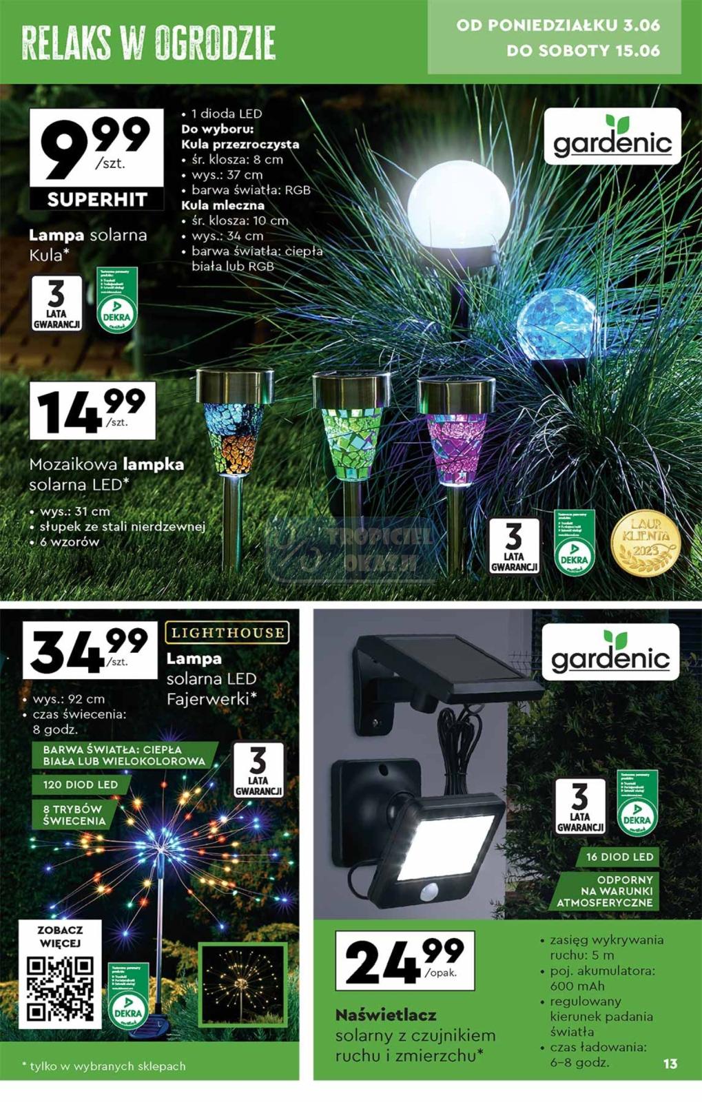 Gazetka promocyjna i reklamowa Biedronka, "Okazje tygodnia", od 03/06/2024 do 15/06/2024, s.13